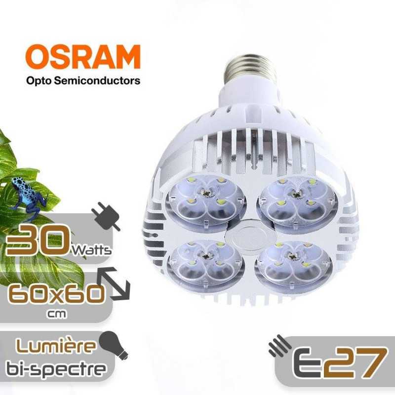 Terrarium Light Fixtures Jungle Dawn 40W LED Terrarium Spotlight Jungle ...